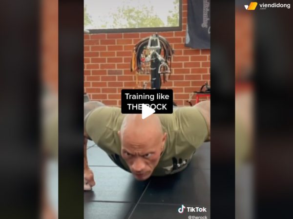 SnapTik App - Công cụ tải video Tiktok không logo, hình mờ